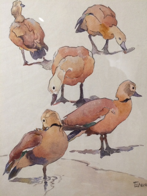 Ripples from the House on the Shore; Eric Ennion Art and Illustration ...